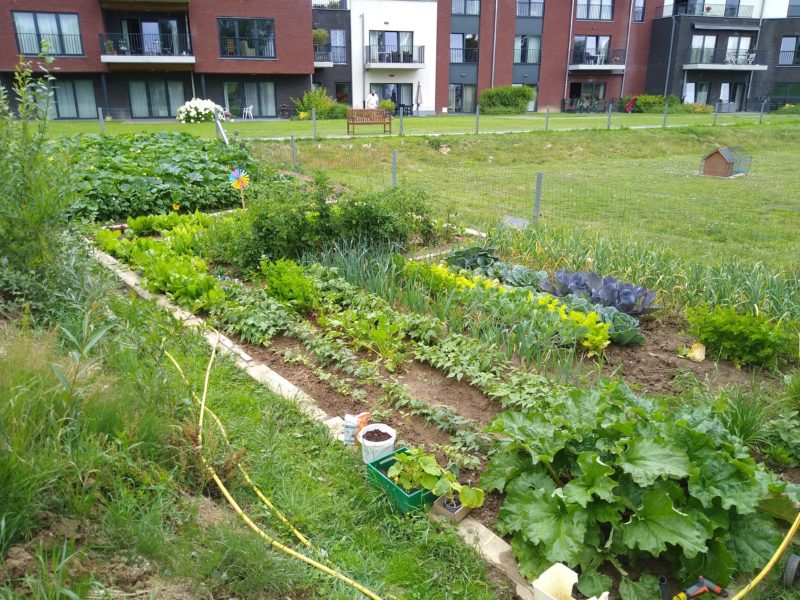 Mon petit potager - Les Jardins du Bultia